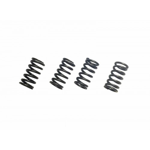 G-MAX Chrome Silicon Steel Alloy Valve Spring